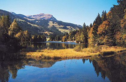 Die Regionen Ostschweiz und Lichtenstein